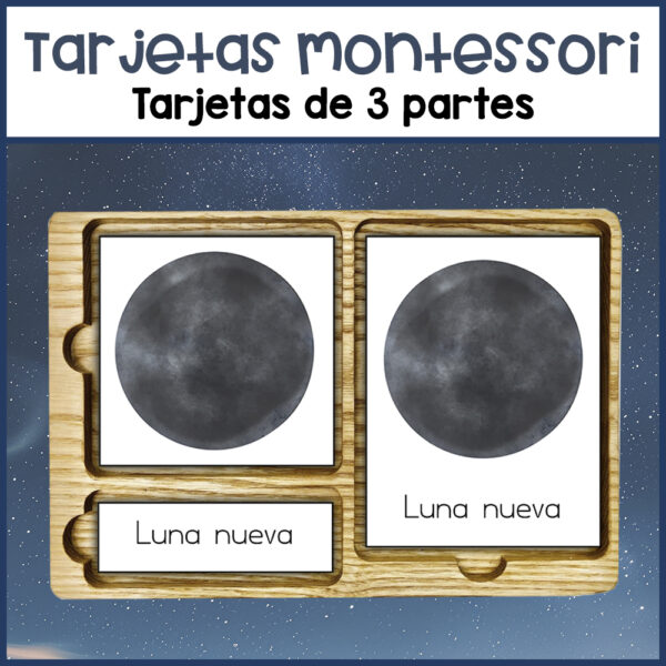 Fases de la Luna | Tarjetas de las Fases de la Luna