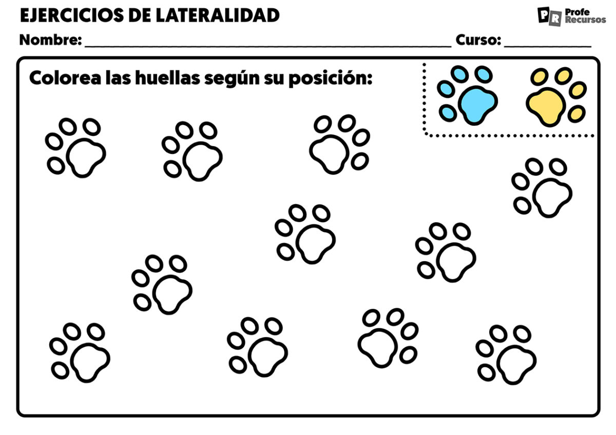Ejercicios de Lateralidad para Primaria | Fichas Coordinación