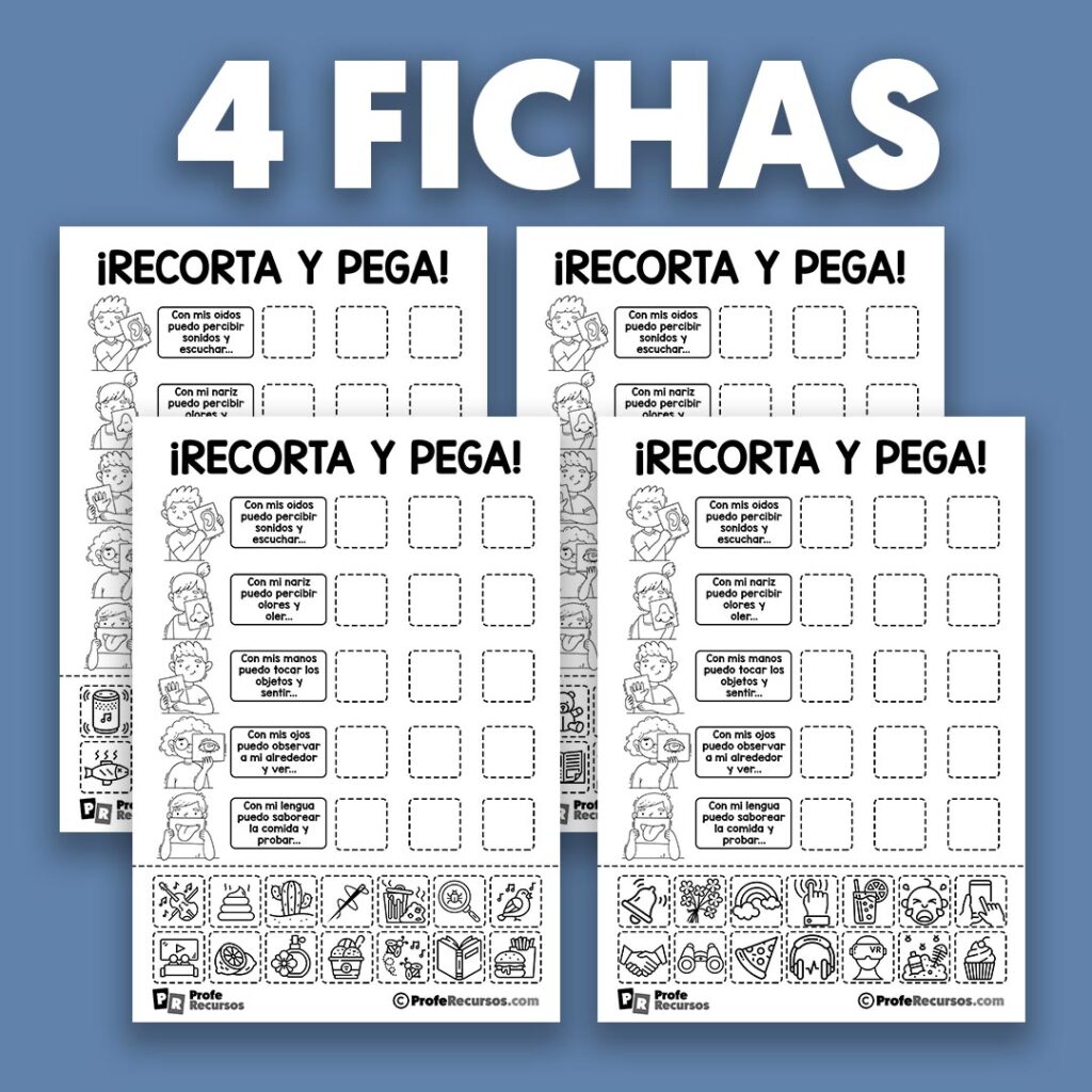Los Sentidos vocabulario y juego Pack de actividades Spanish Resources ...