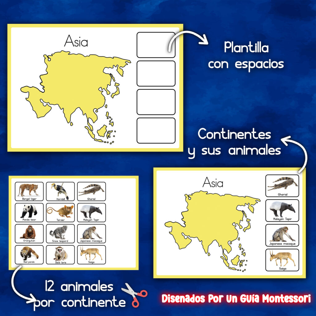 Animales y sus Continentes | Material Montessori