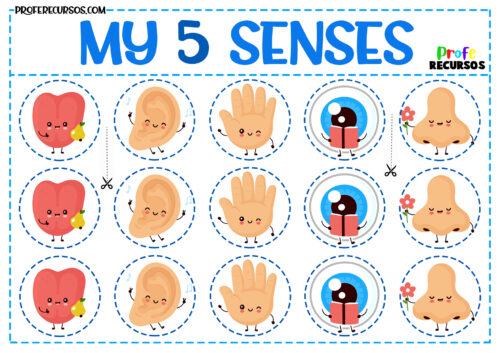Aprender los 5 Sentidos en Ingles (Fichas + Juegos Gratis)