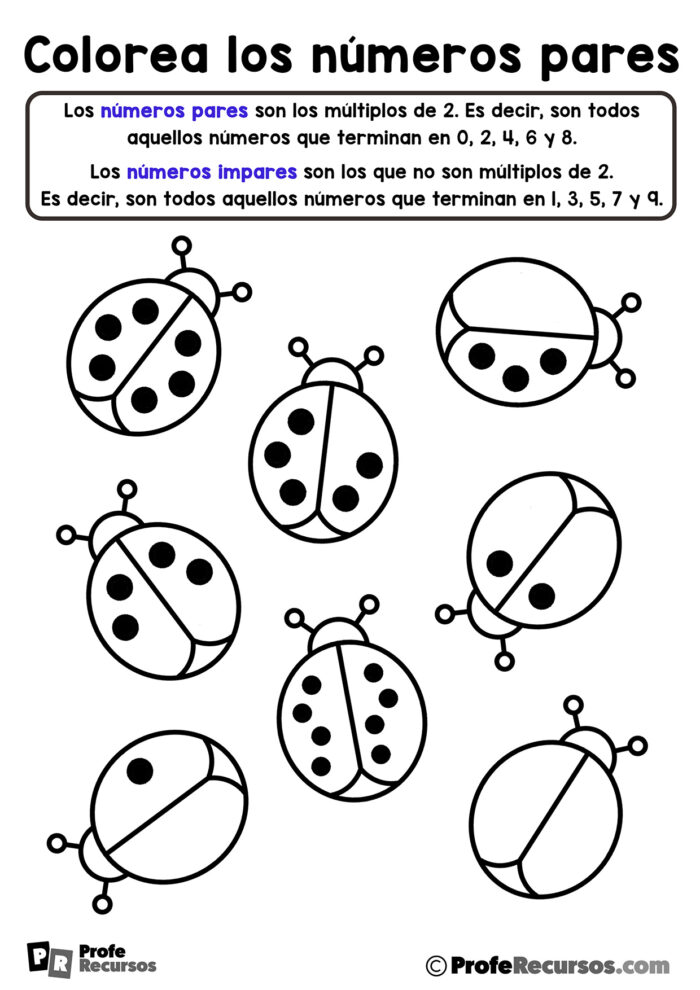 Números pares e impares [Teoría + Actividades]