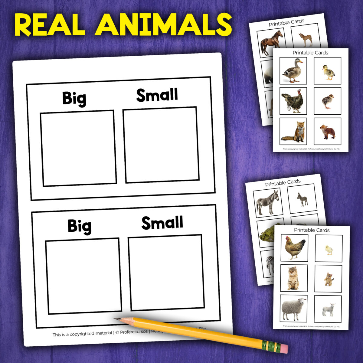 Actividad Grande y Pequeño en Inglés (Big or Small)