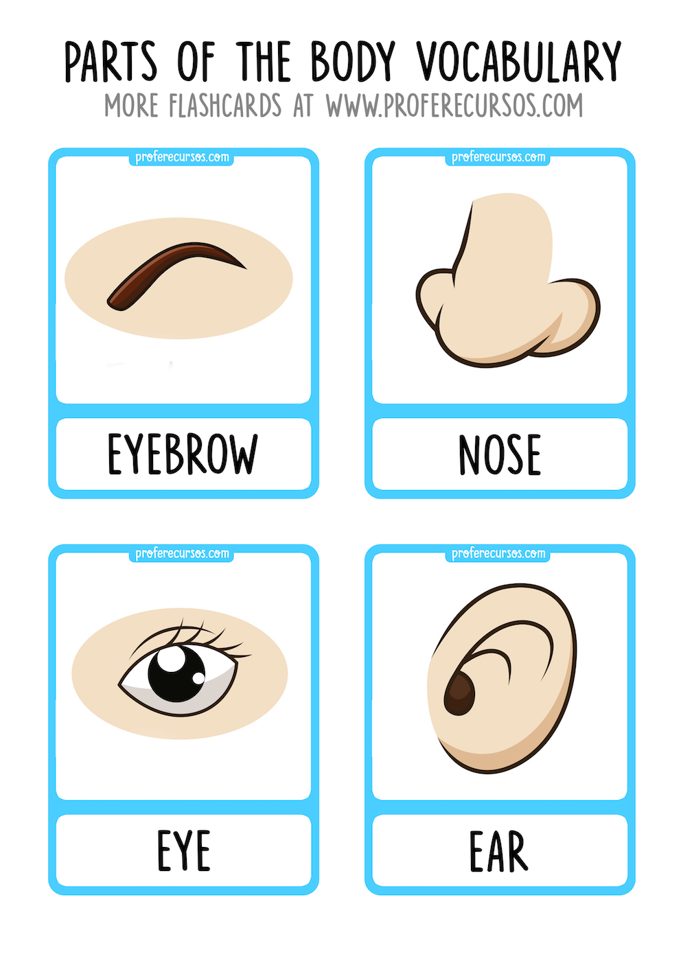 Free Name Body Parts Spanish Printable Flashcards - Printable Online