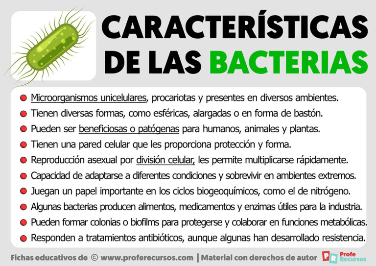 Características de las Bacterias