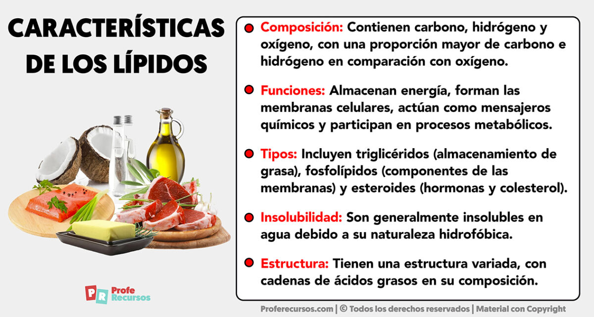 Características de Los Lípidos