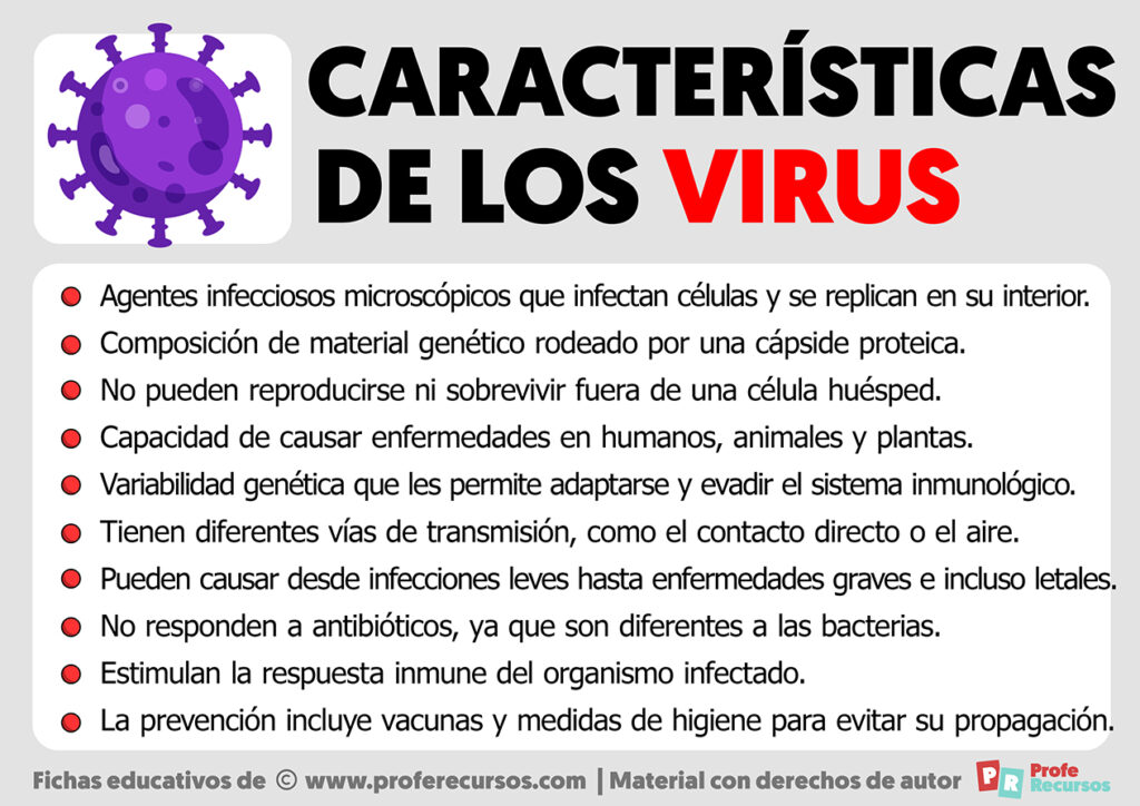 Características de los Virus