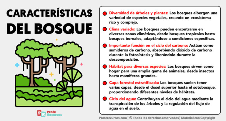 Características del Bosque