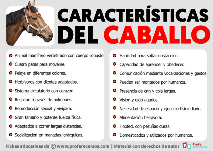Características del Caballo