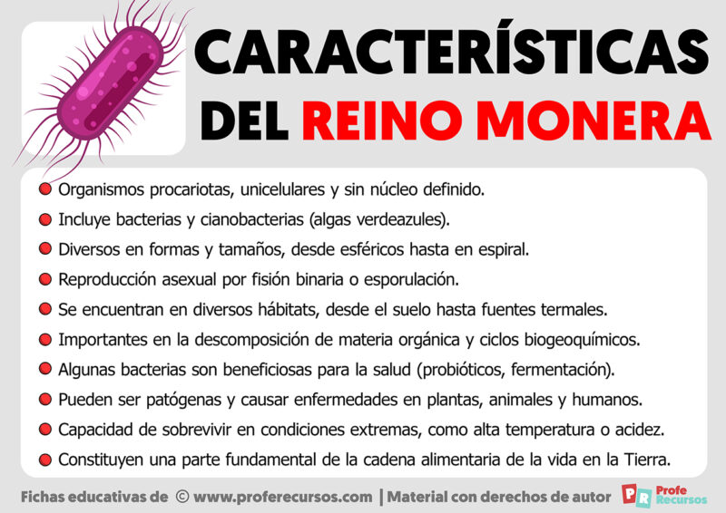 Exemplos Do Reino Monera Com Nomes Cientificos
