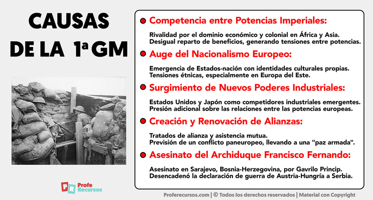 Causas de la Primera Guerra Mundial