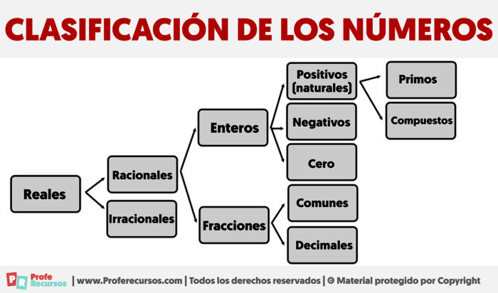 Clasificación de los Números Clasificación de los Números