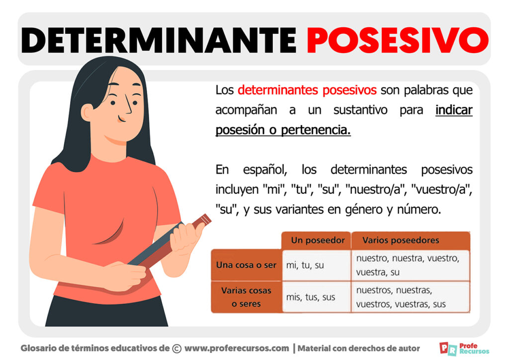Qué son los Determinantes Posesivos