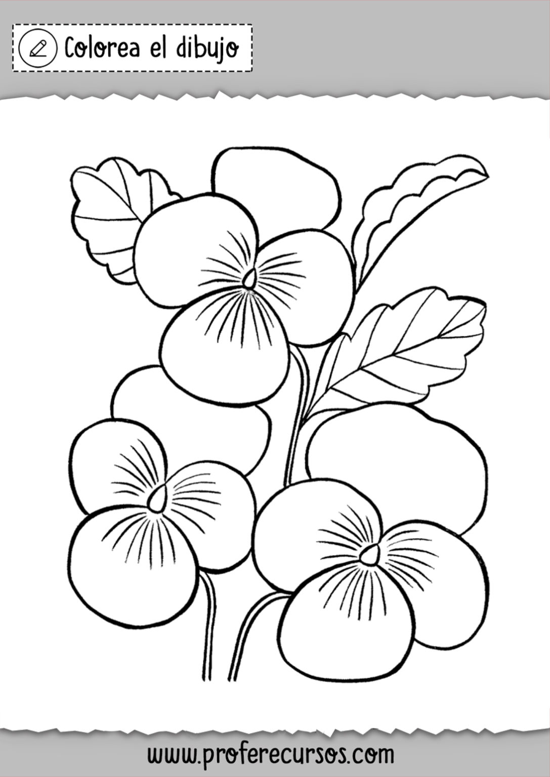 Dibujos de Flores para Colorear y Pintar