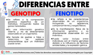 Diferencias entre Genotipo y Fenotipo