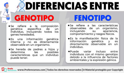 Diferencias entre Genotipo y Fenotipo