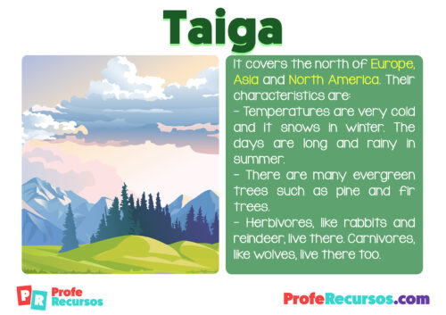 Ecosistemas terrestres | Terrestrial Ecosystems | Natural Science