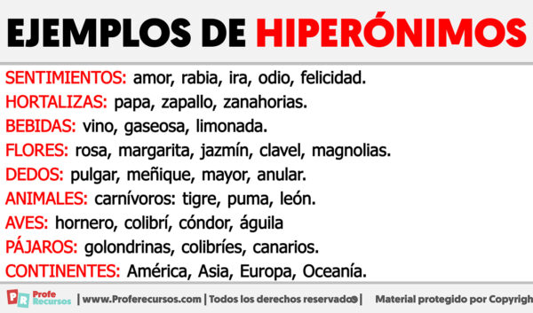 Ejemplos de Hiperónimos
