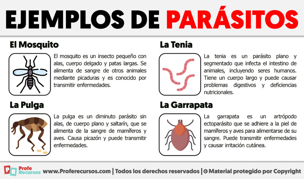 Ejemplos de Parásitos