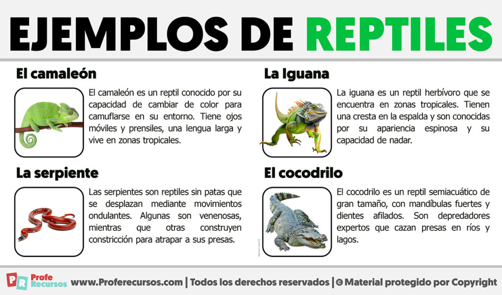 Ejemplos de Reptiles