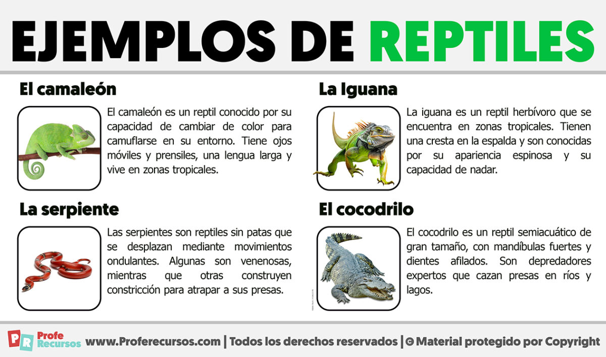 Ejemplos de Reptiles