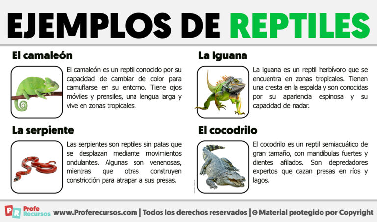 Ejemplos de Reptiles