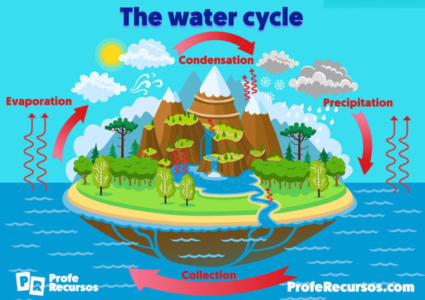 El ciclo del agua | The Water Cycle | Natural Science