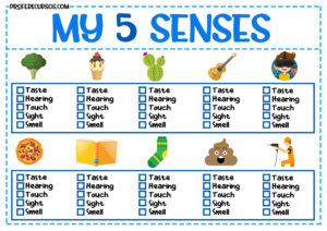English Five Senses Activities and Worksheets