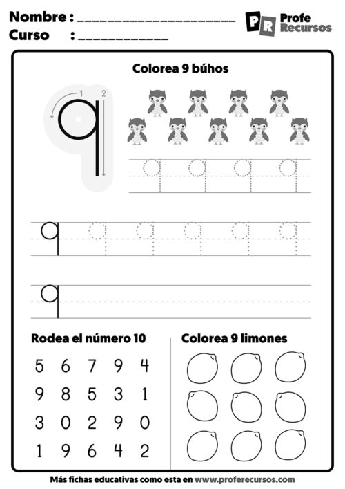 Ficha del número 9
