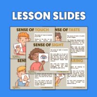 Five Senses Activity Bundle | Natural Science