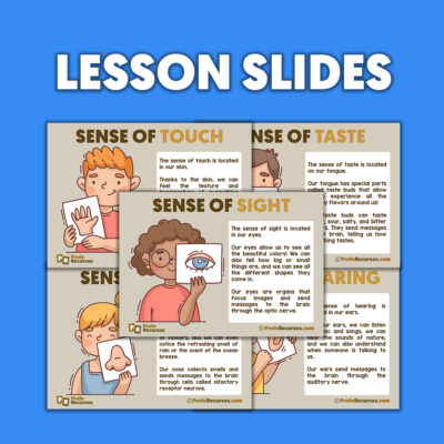 Five Senses Activity Bundle | Natural Science