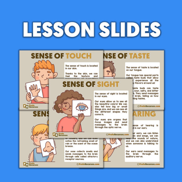 Five Senses Activity Bundle | Natural Science