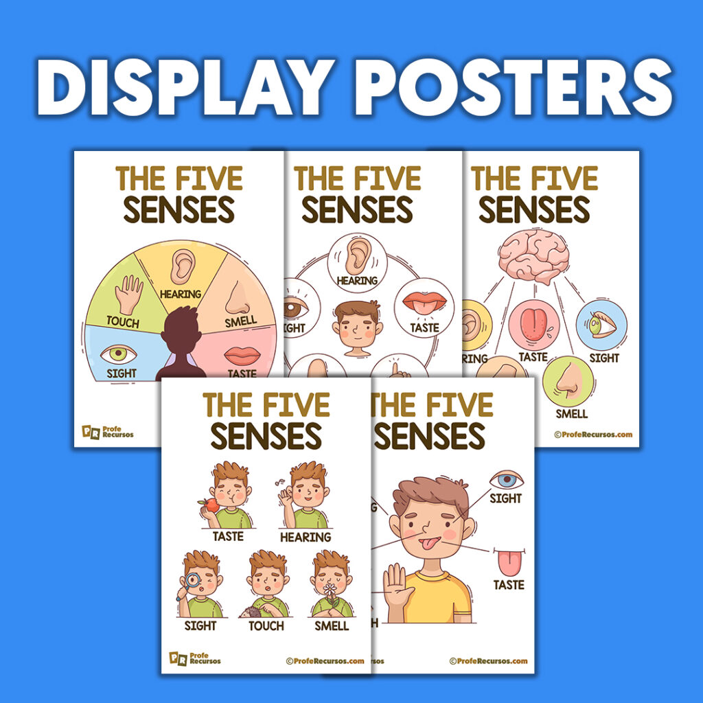 Five Senses Activity Bundle | Natural Science
