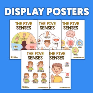 Five Senses Activity Bundle | Natural Science