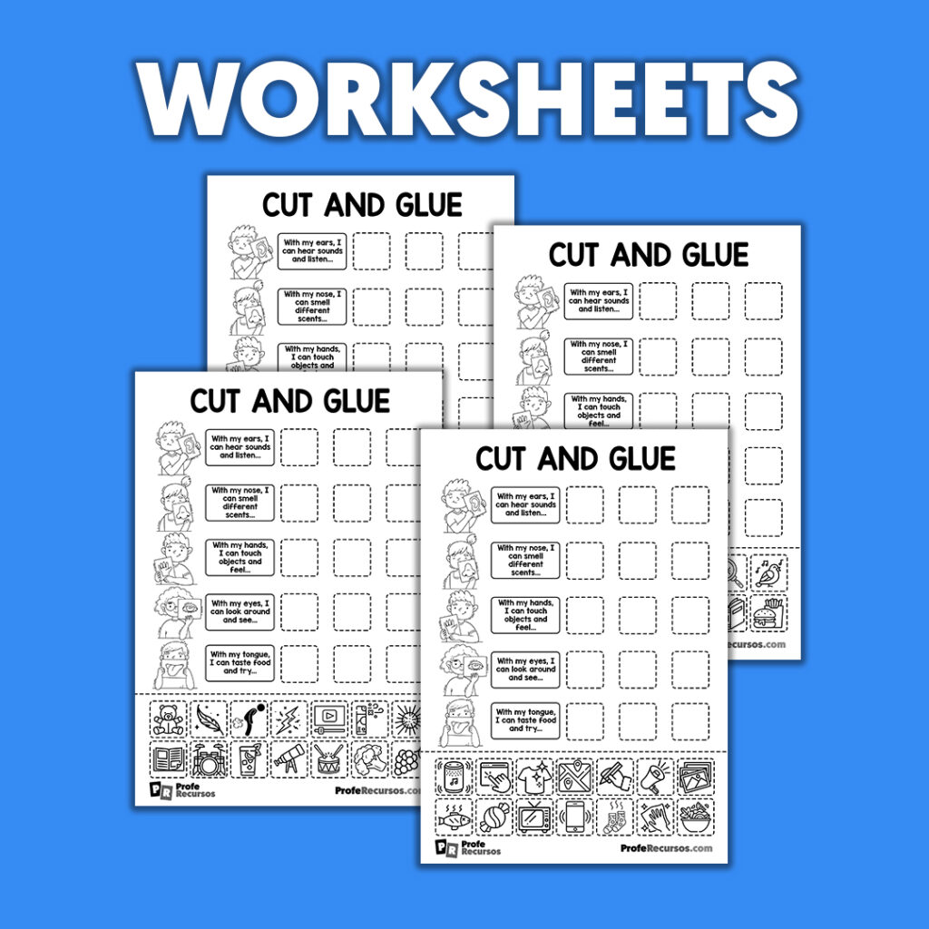 Five Senses Activity Bundle | Natural Science