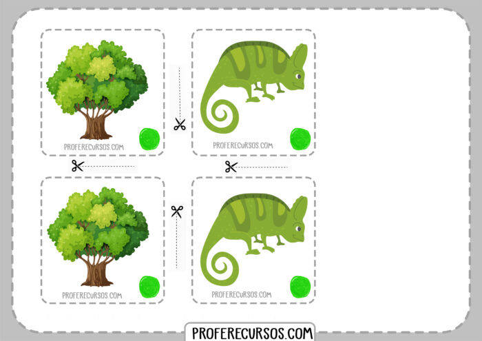 Learning Colors Memory Game green