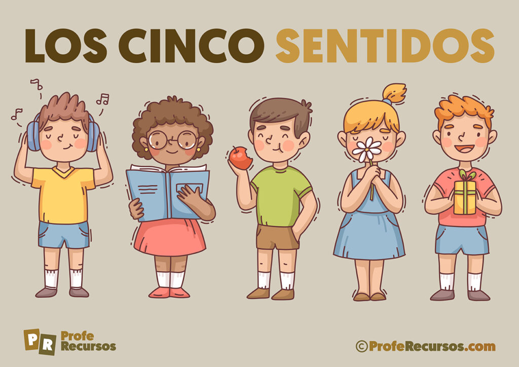 Los 5 Sentidos para Niños (Teoría + Actividades)