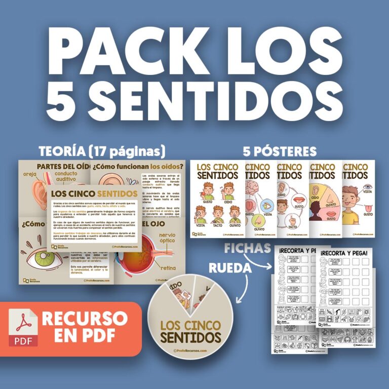 Pack de Actividades Los Cinco Sentidos | Ciencias Naturales