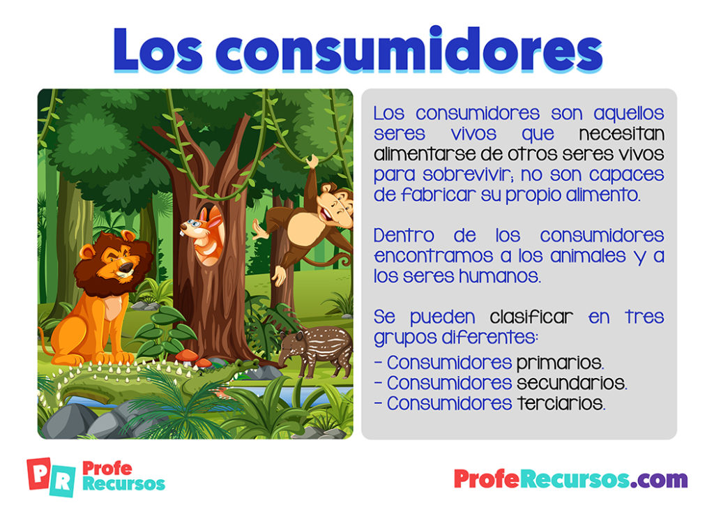 La Cadena Alimentaria | Que es y cuáles son sus componentes