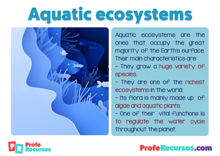 Ecosistemas acuáticos en Inglés| Aquatic Ecosystems | Natural Science