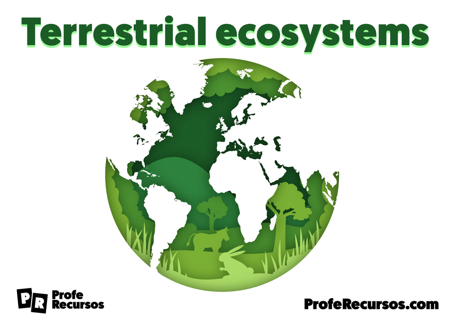 Ecosistemas terrestres | Terrestrial Ecosystems | Natural Science