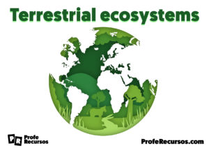 Ecosistemas terrestres | Terrestrial Ecosystems | Natural Science