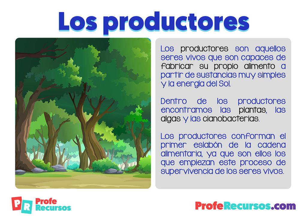 Los productores en las cadenas alimentarias Los productores en las cadenas alimentarias