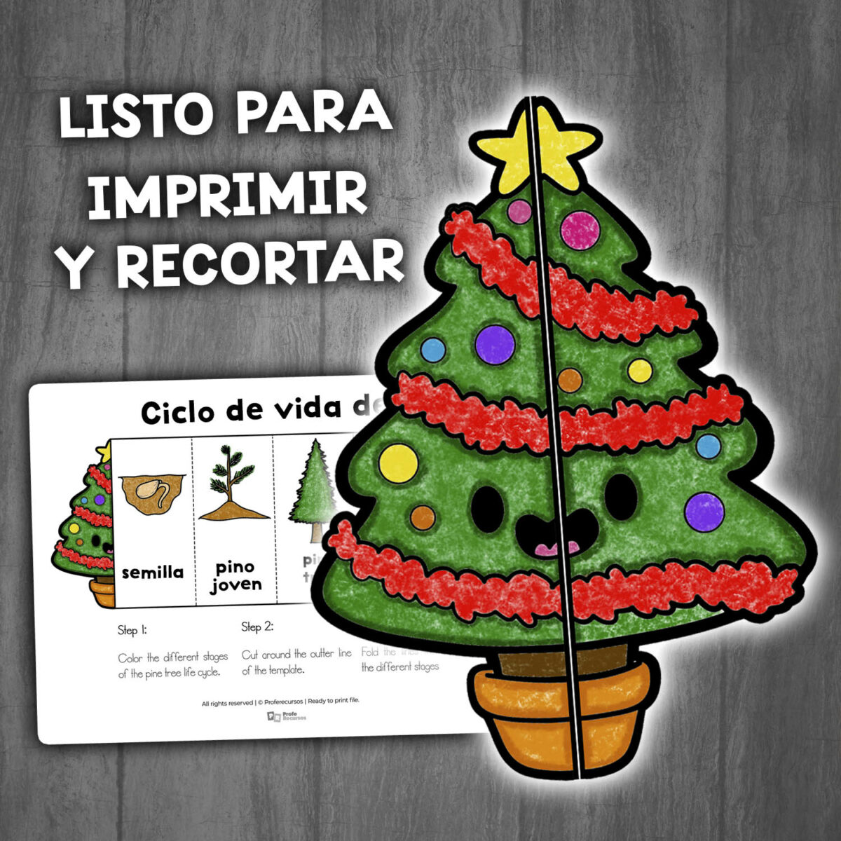 Manualidad Ciclo de Vida del Arbol de Navidad