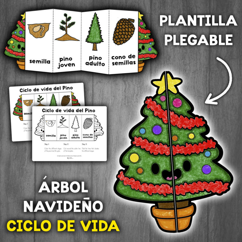 Manualidad Ciclo de Vida del Arbol de Navidad