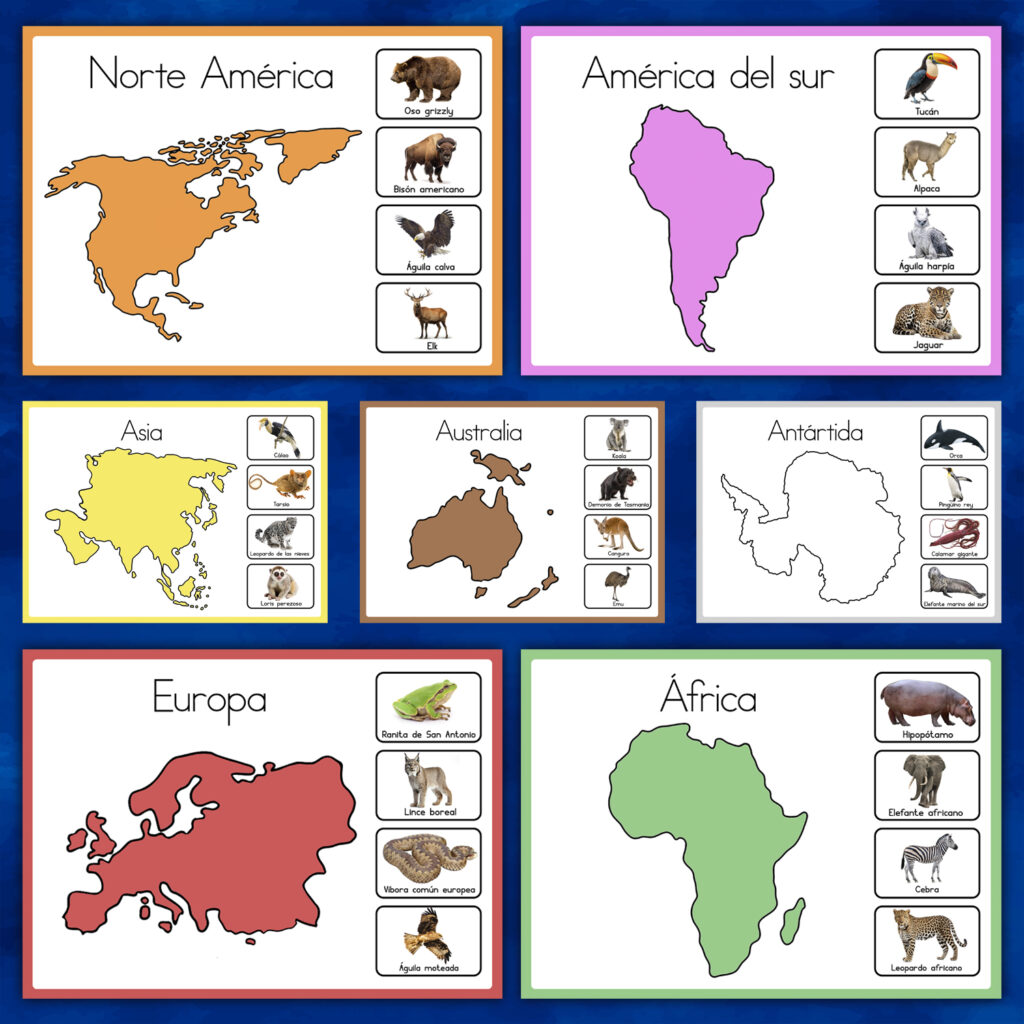 Animales y sus Continentes | Material Montessori