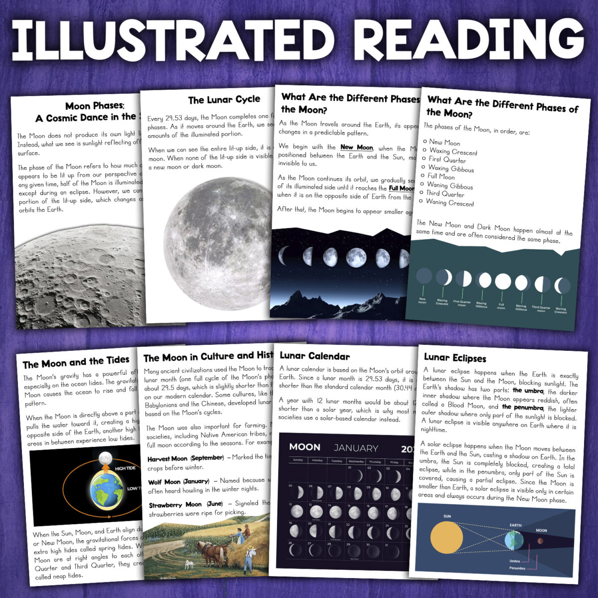 Phases of the Moon (Reading + Questions) Recurso en Inglés