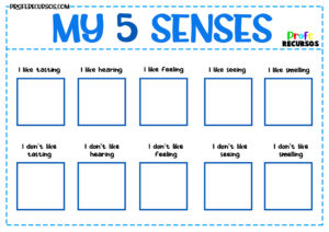My 5 senses activities
