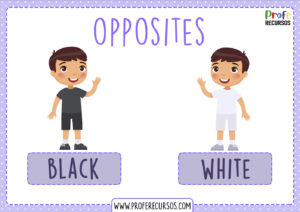 Opposites flashcards English as a Second Language