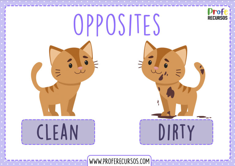 Opposites flashcards English as a Second Language